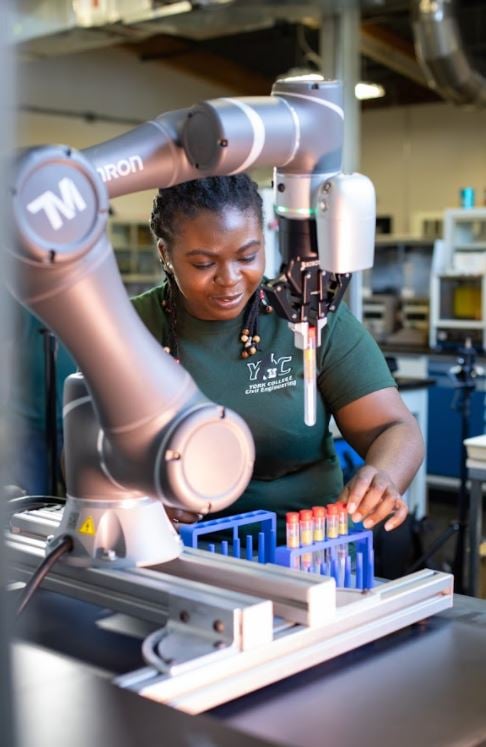 Maximizing Efficiency with Cobots: The Future of Collaborative Automation